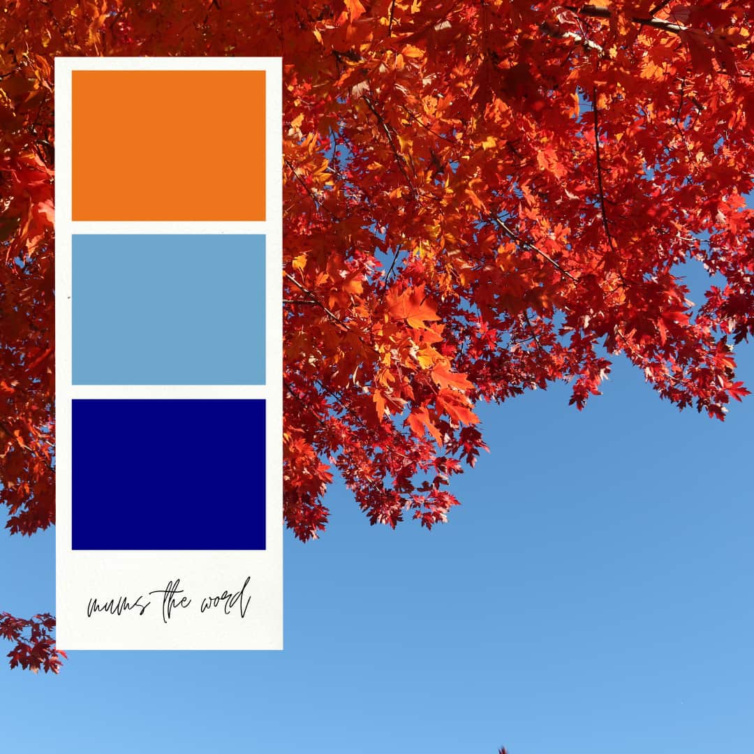 Decorating Bookshelves for Fall: Seasonal Styling Ideas - Sonata Home ...