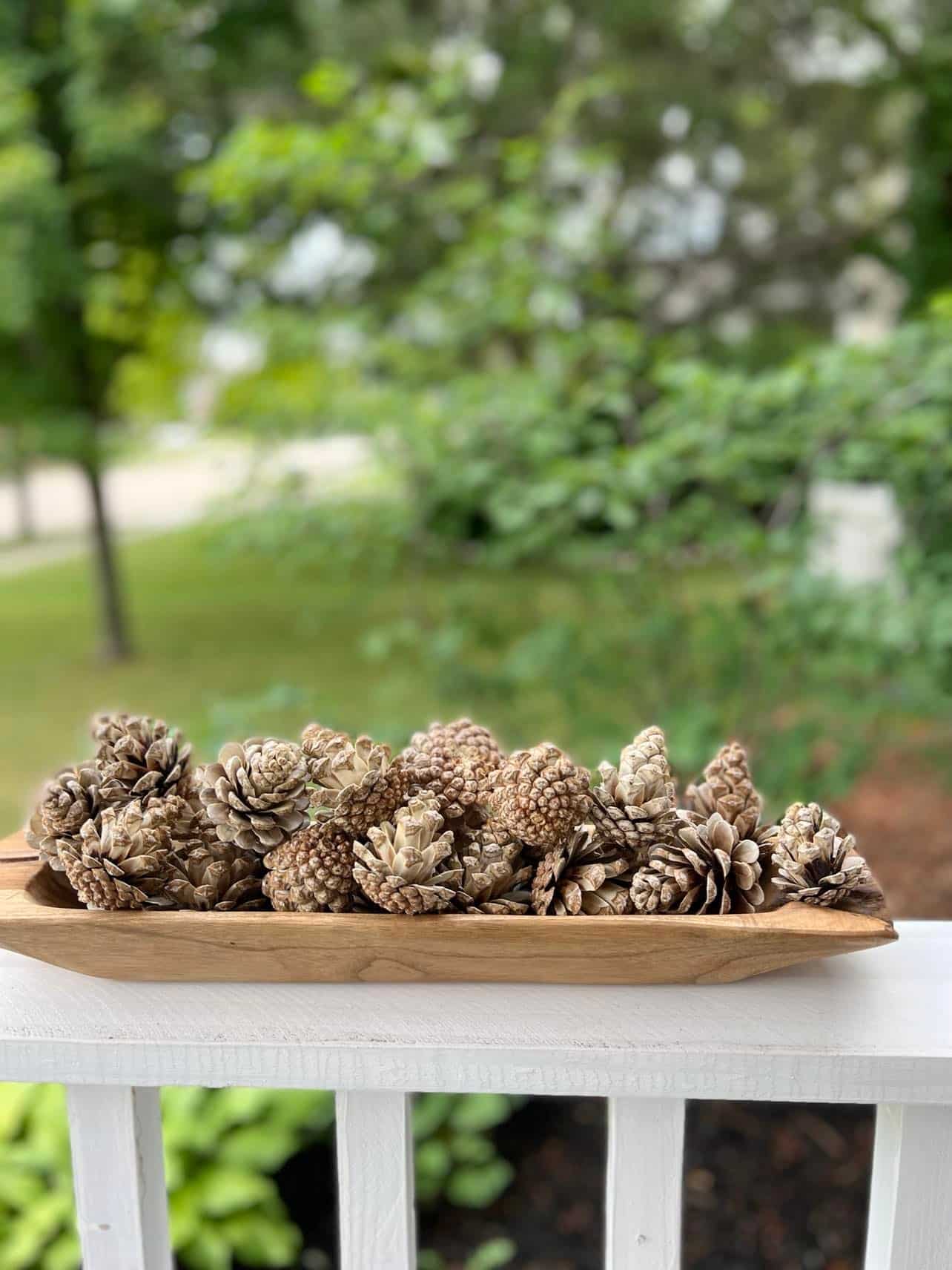 How to Bleach Pinecones - Sonata Home Design