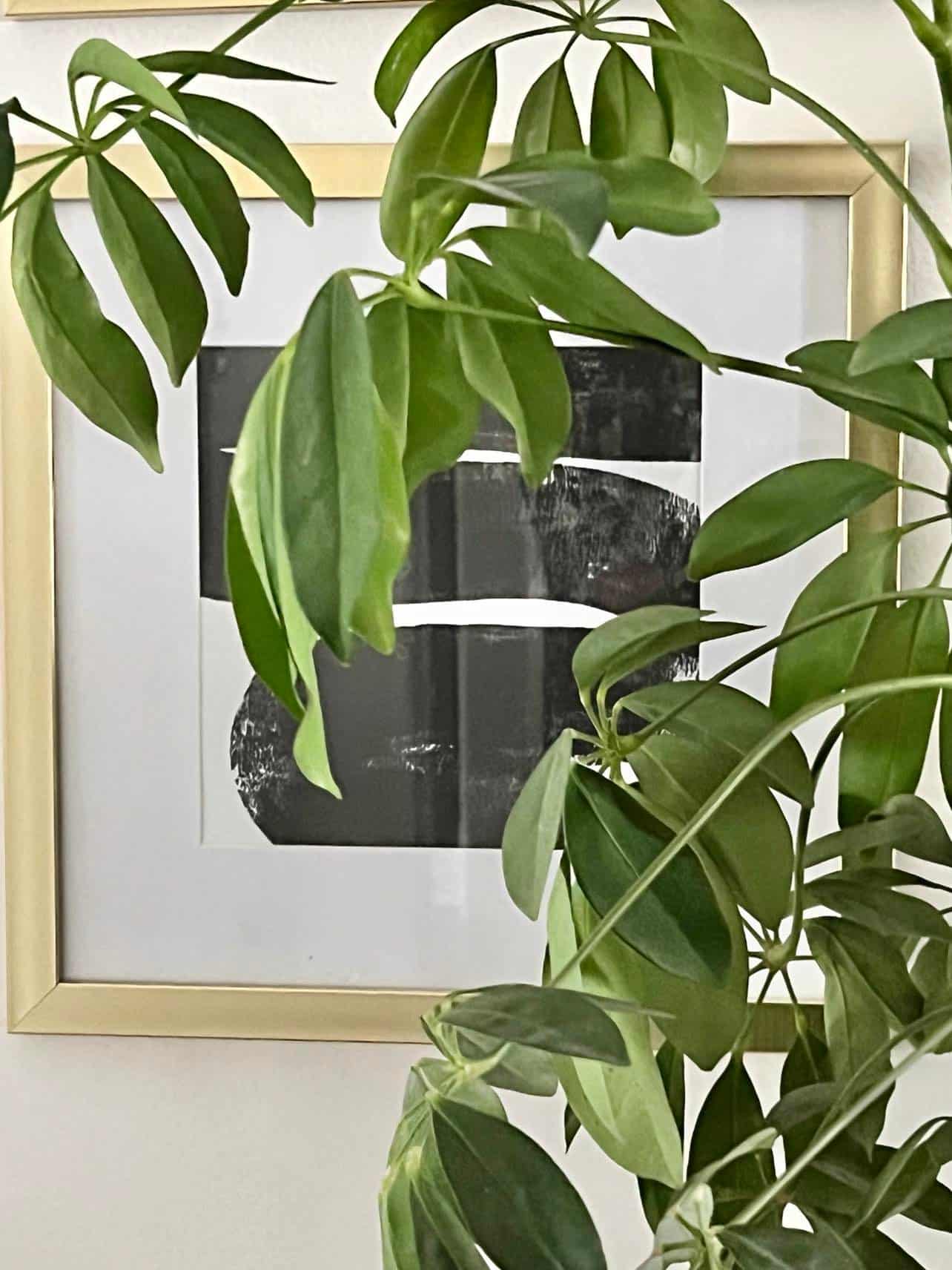 Framing Wallpaper as Art: A Budget-Friendly Wall Decor Idea - Sonata ...