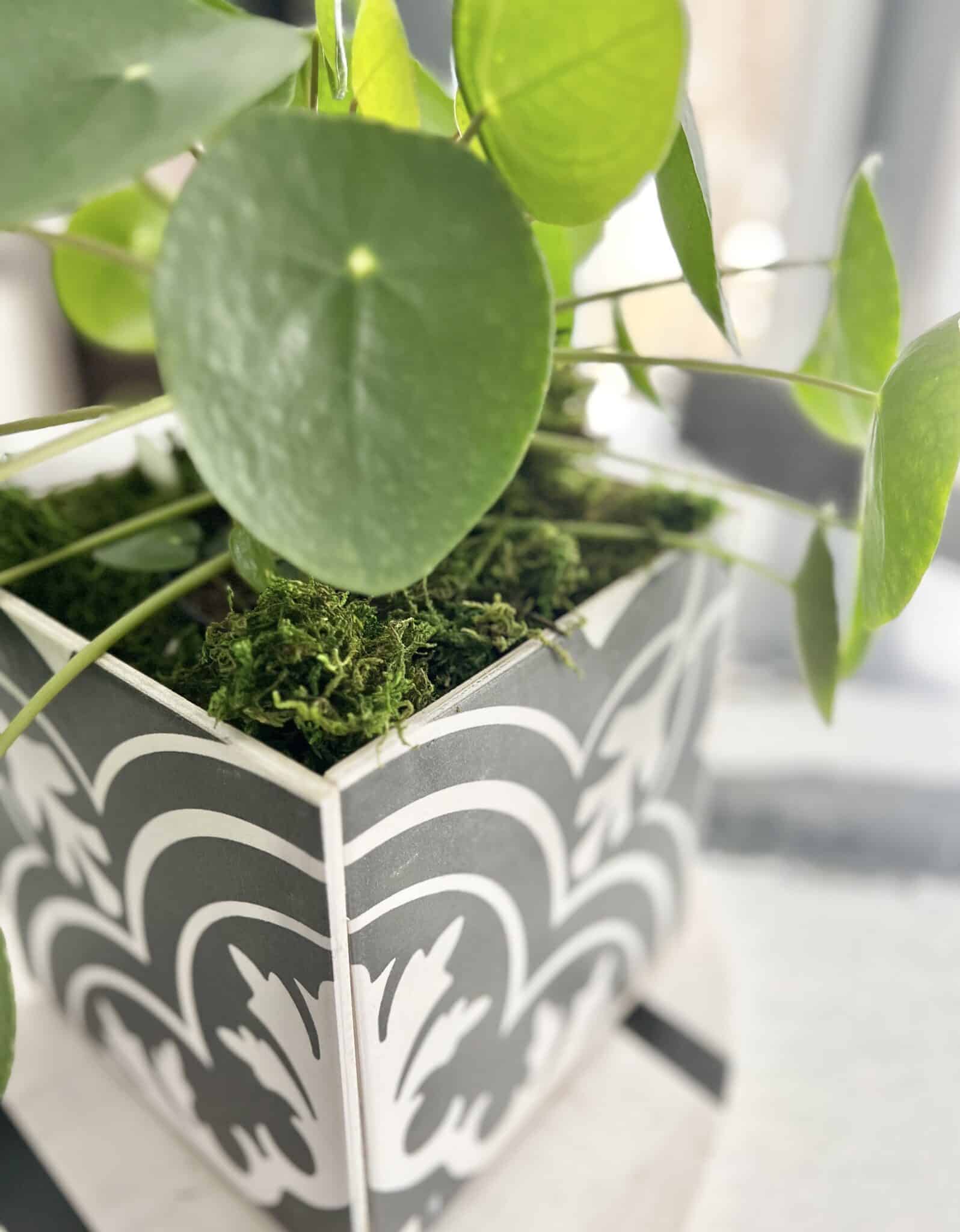 How to make a DIY tile planter box