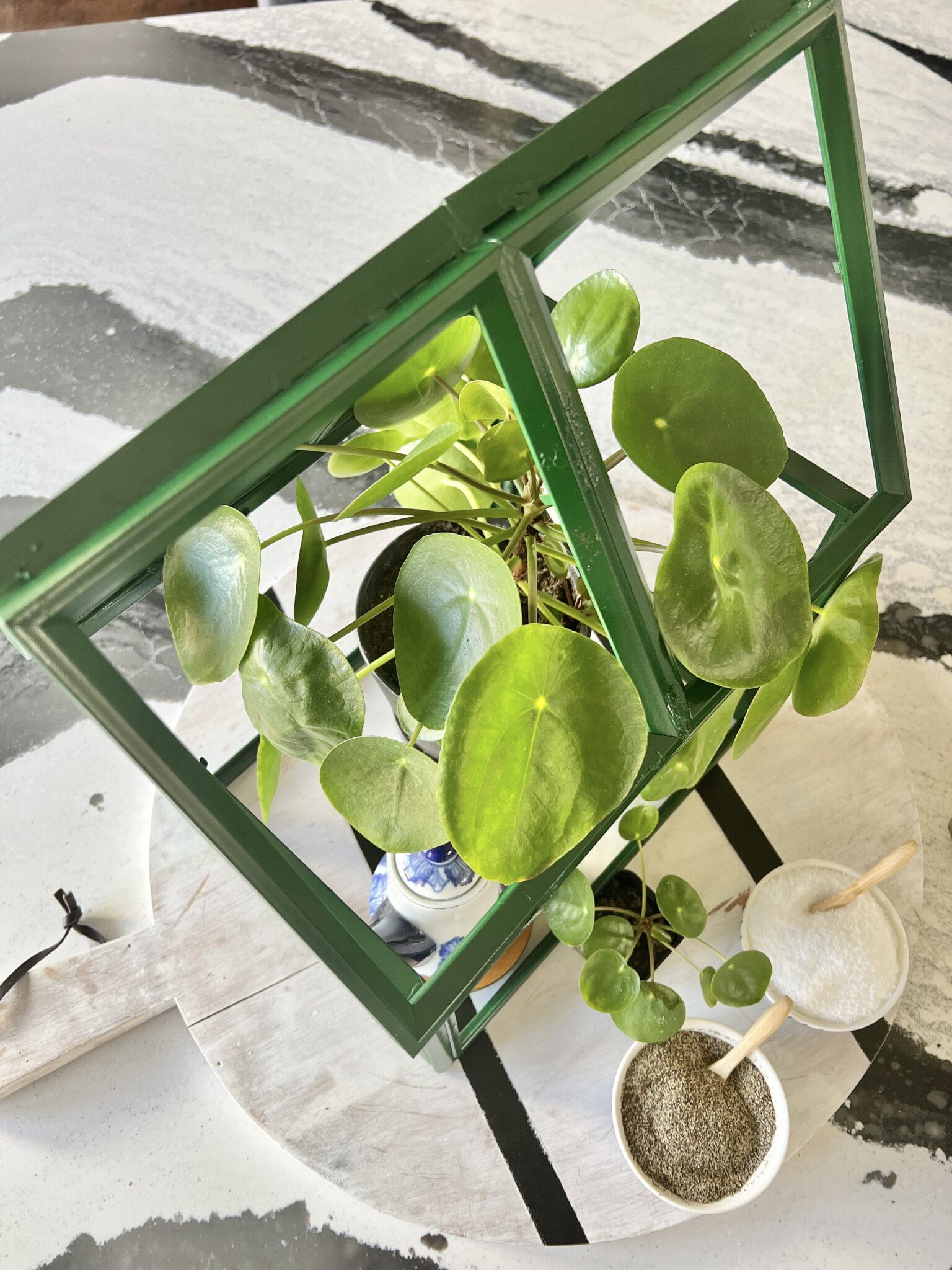 How to Make a Mini Tabletop Greenhouse