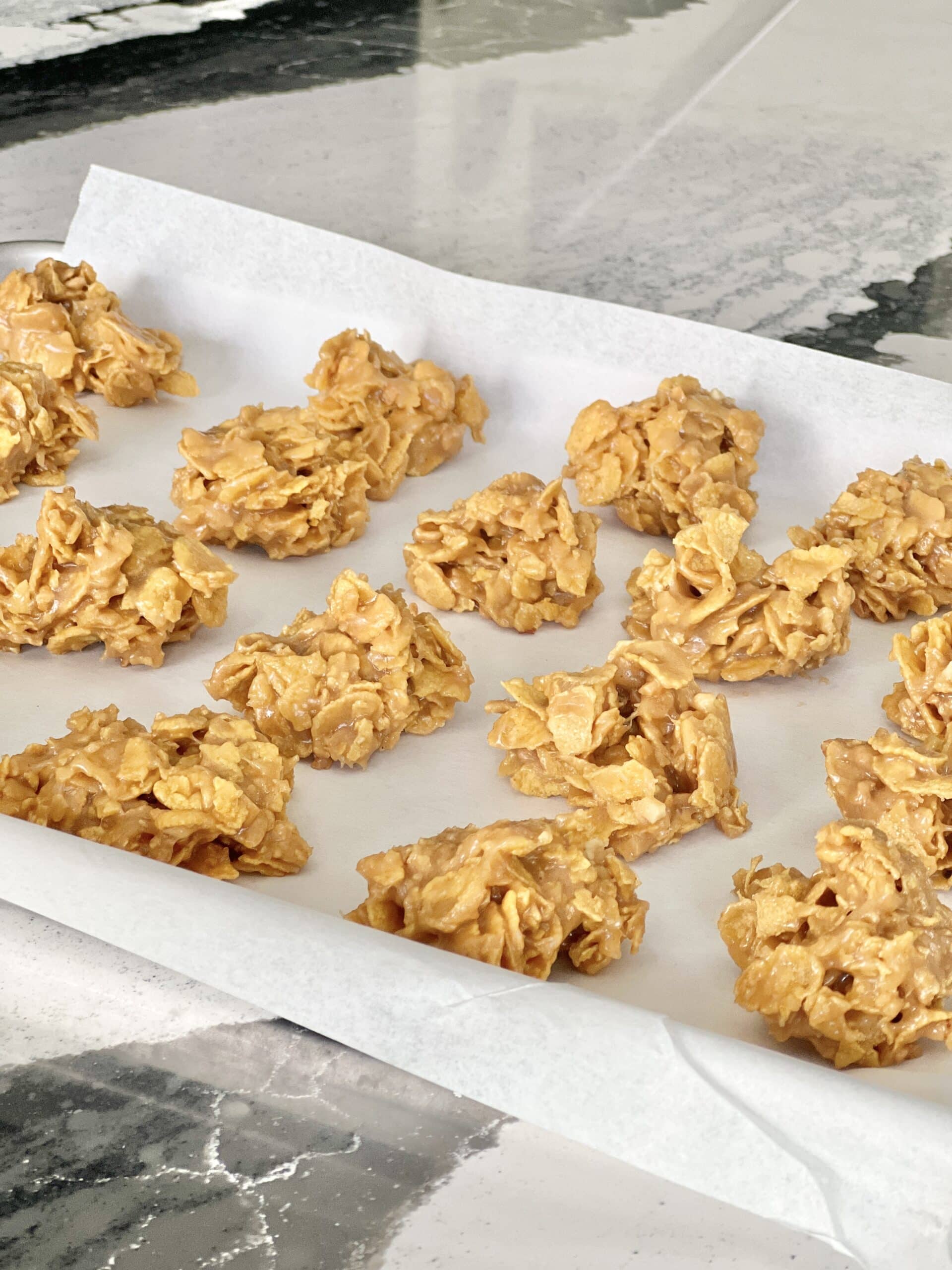 The Best of the Peanut Butter Cereal Cookie Recipes - Sonata Home Design