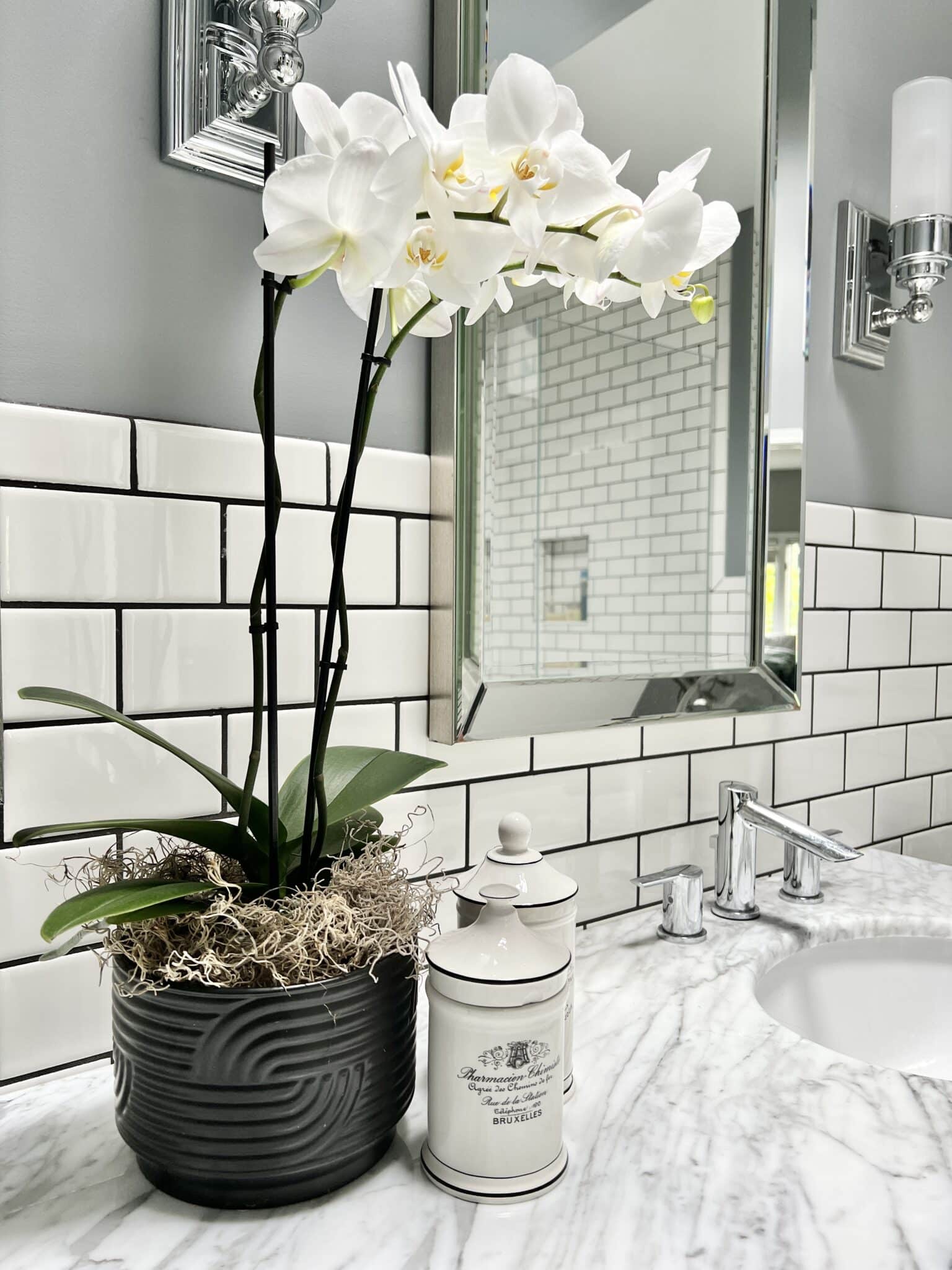 Simple and Easy DIY Orchid Planter Ideas for Your Home - Sonata Home Design