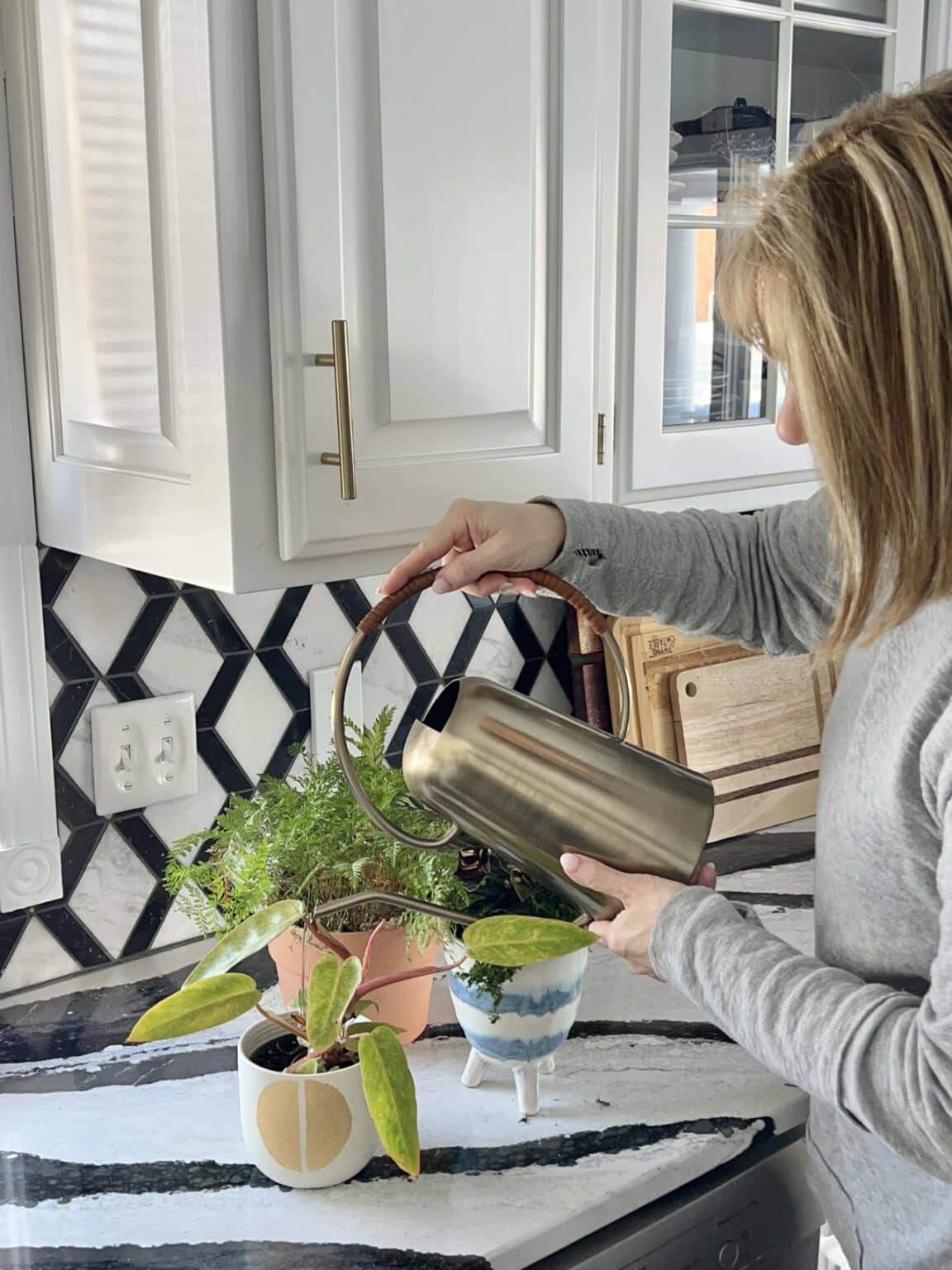 Painted Lady Plant Care: A Complete How-To Guide - Sonata Home Design