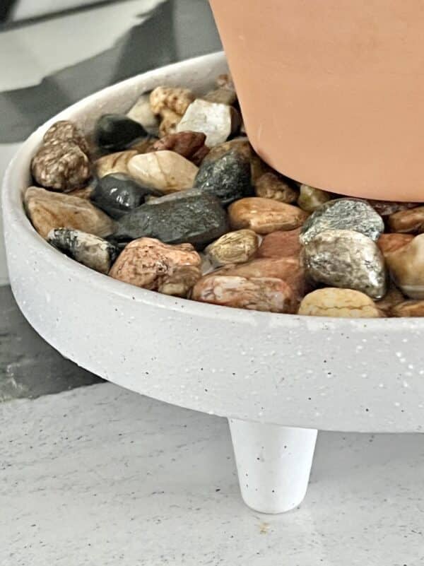 How to Make a Pebble Tray for Plants: A Humidity Hack - Sonata Home Design