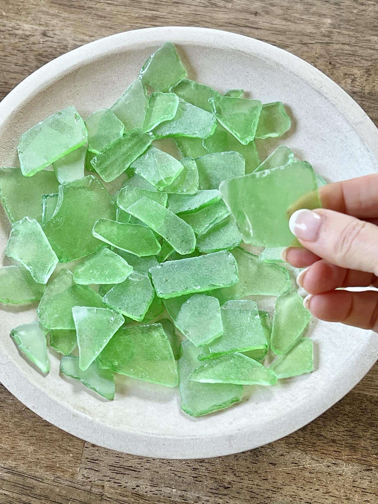 How to Make a Pebble Tray for Plants: A Humidity Hack - Sonata Home Design