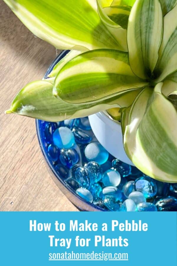 Why I Swear by a Pebble Tray for Plants (My Easy Humidity Fix) - Sonata ...
