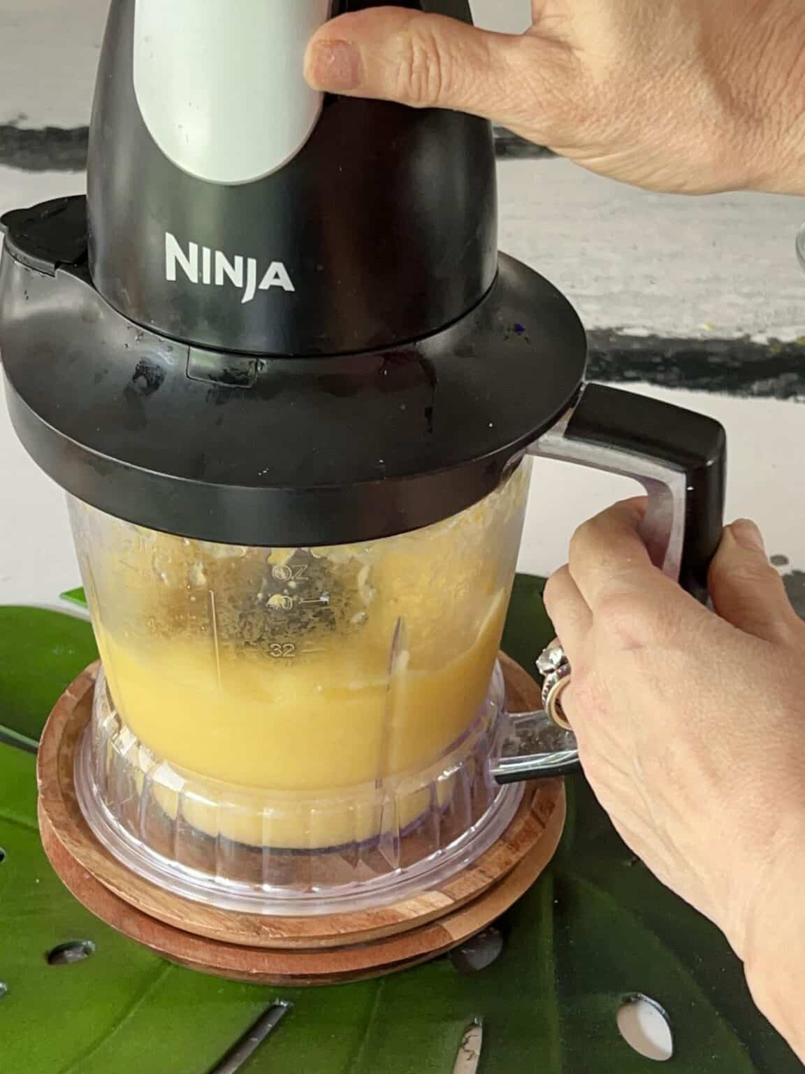 How to Make Mango A Go Go: A Jamba Juice Copycat - Sonata Home Design