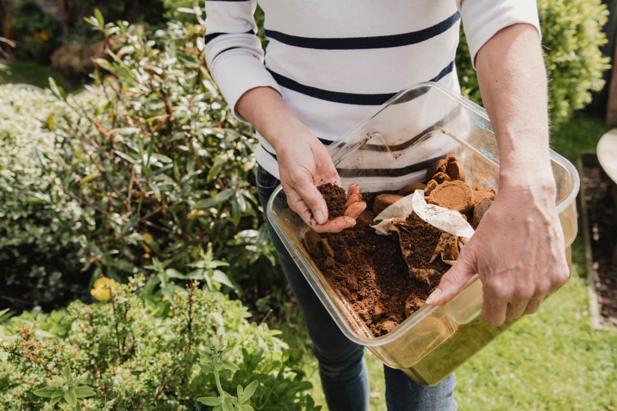 How to Dry Coffee Grounds + Best Uses for Home and Garden - Sonata Home ...