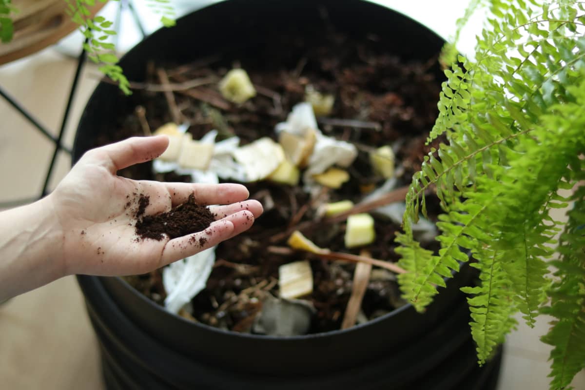 How to Dry Coffee Grounds + Best Uses for Home and Garden - Sonata Home ...