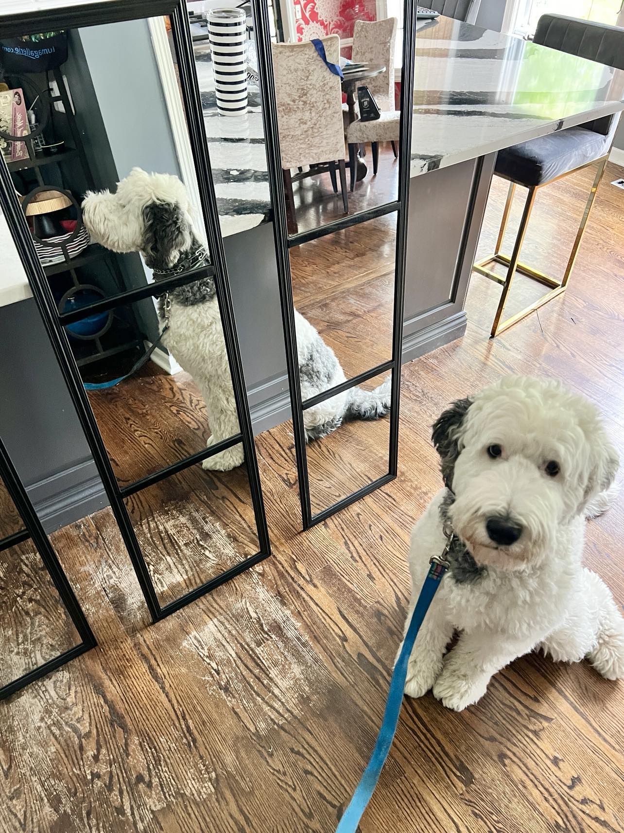 A Brilliant Mirror Hack: How to Create a Designer Grid Mirror for Less ...