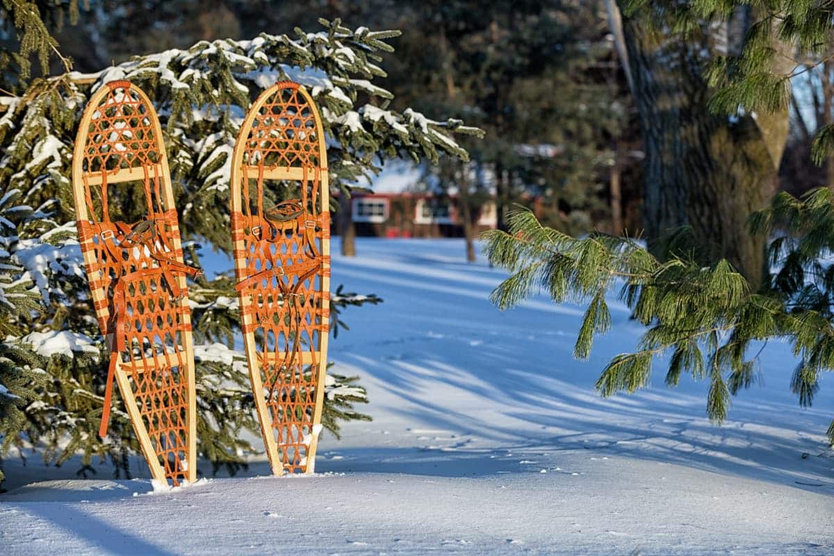 Decorating with Snowshoes: A Touch of Cozy Winter Charm - Sonata Home ...