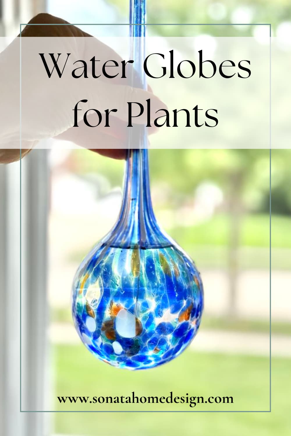 Water Globes for Plants: The Lazy Gardener’s Magical Helper - Sonata ...
